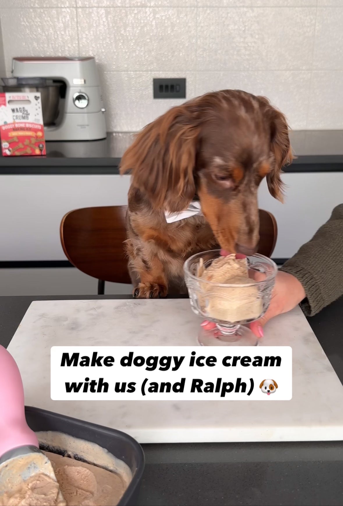 How to make dog ice cream – Craft & Crumb