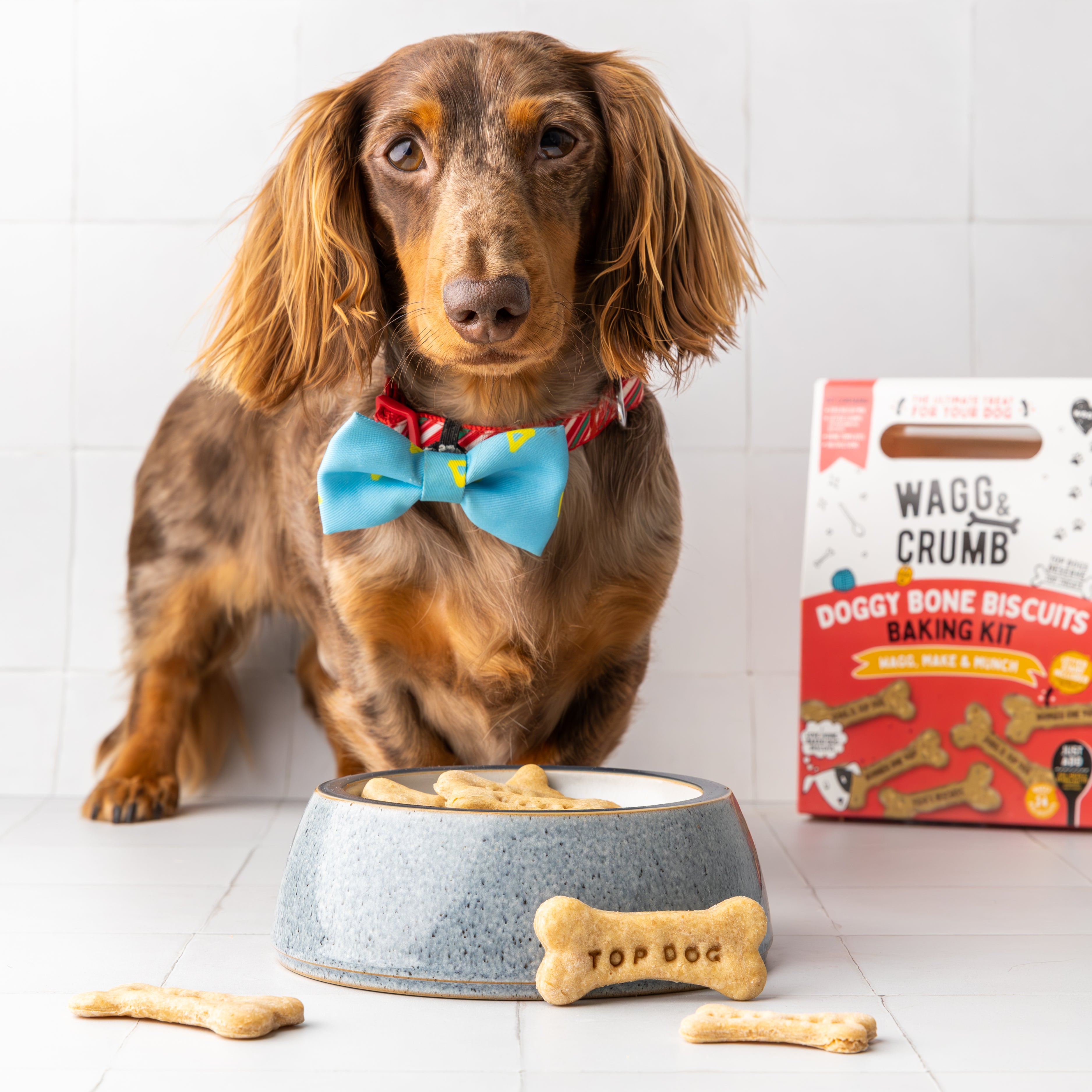 Wagg & Crumb – Craft & Crumb – Craft & Crumb