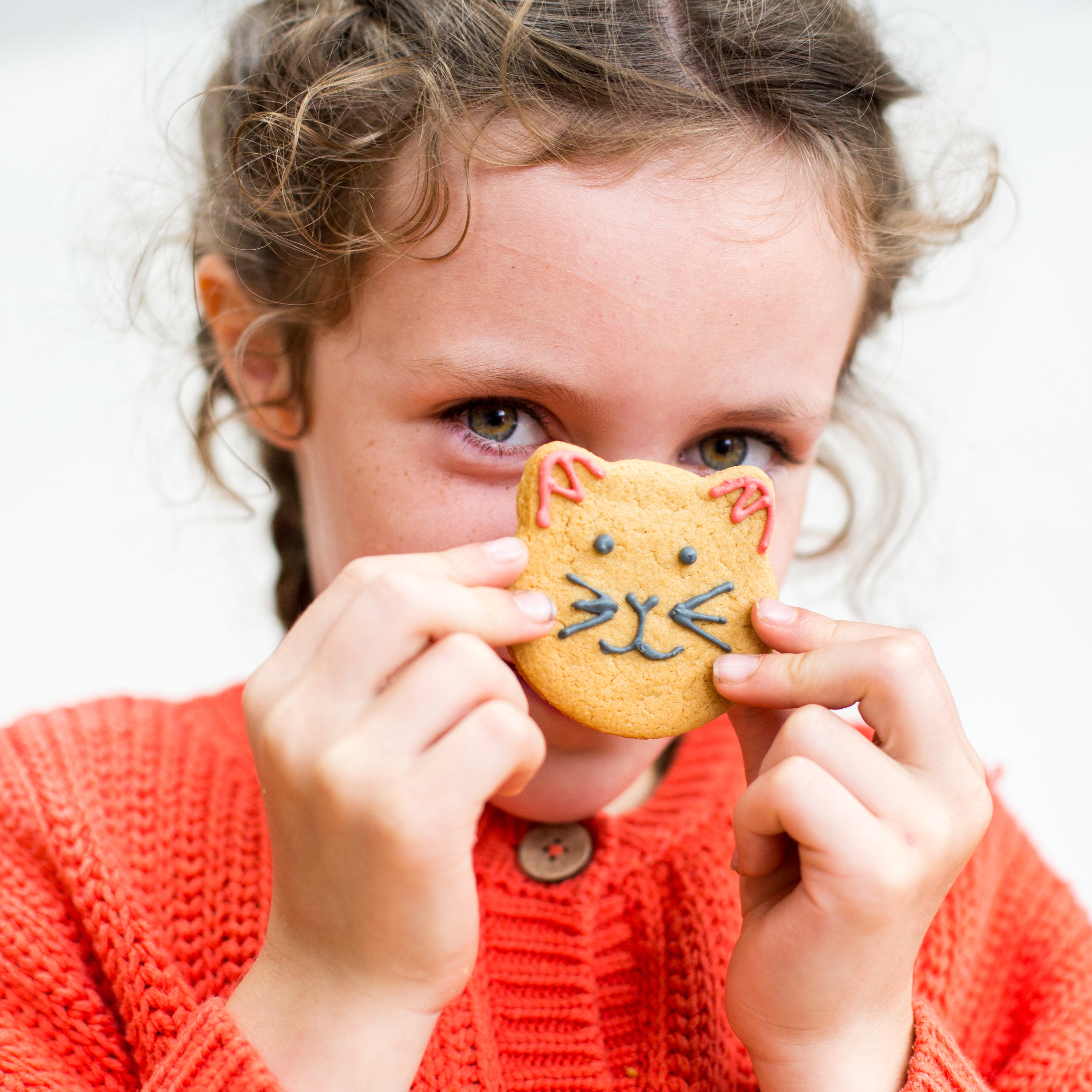 Cool cats biscuits kit – Craft & Crumb