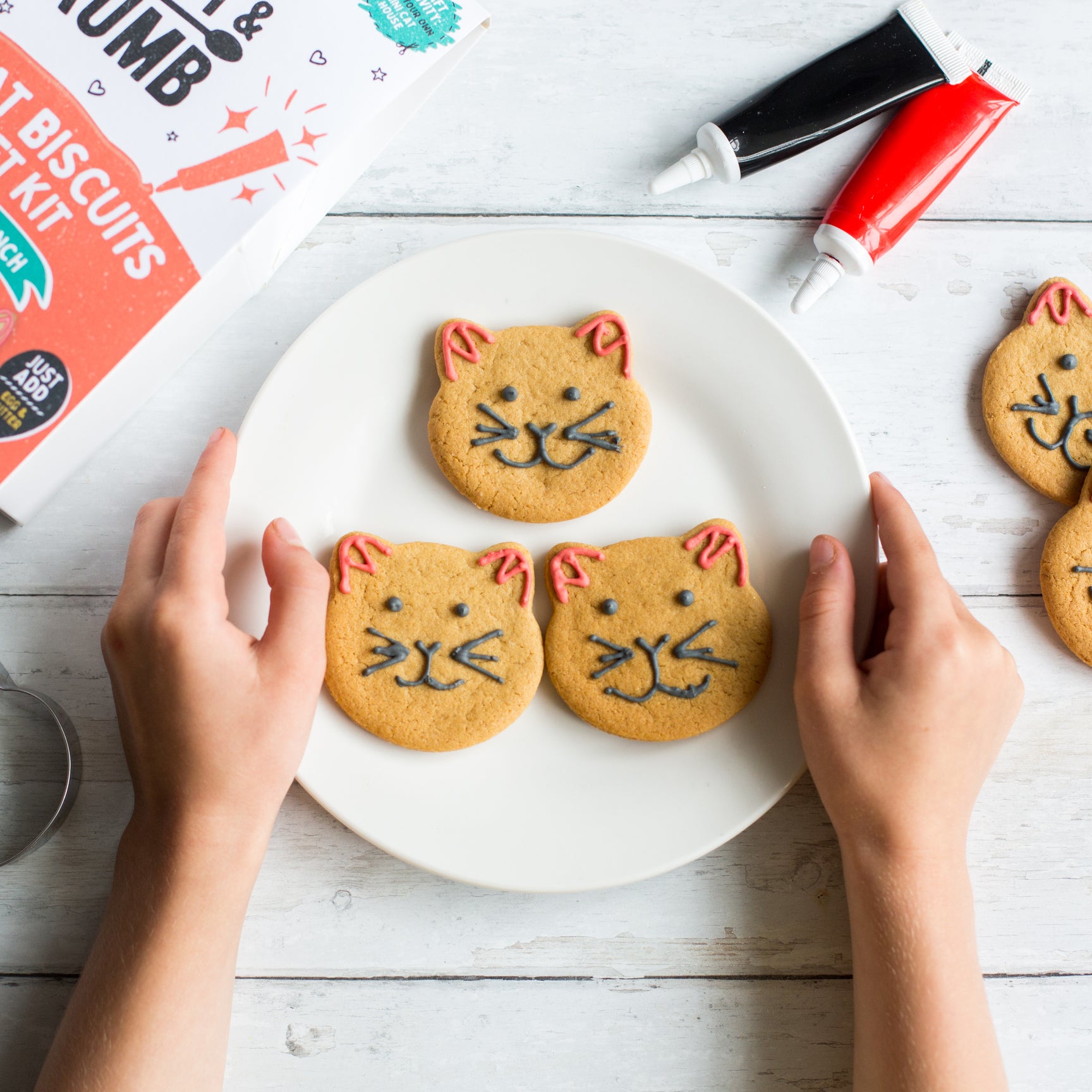 Cool Cats Biscuits Kit | Craft & Crumb – Craft & Crumb