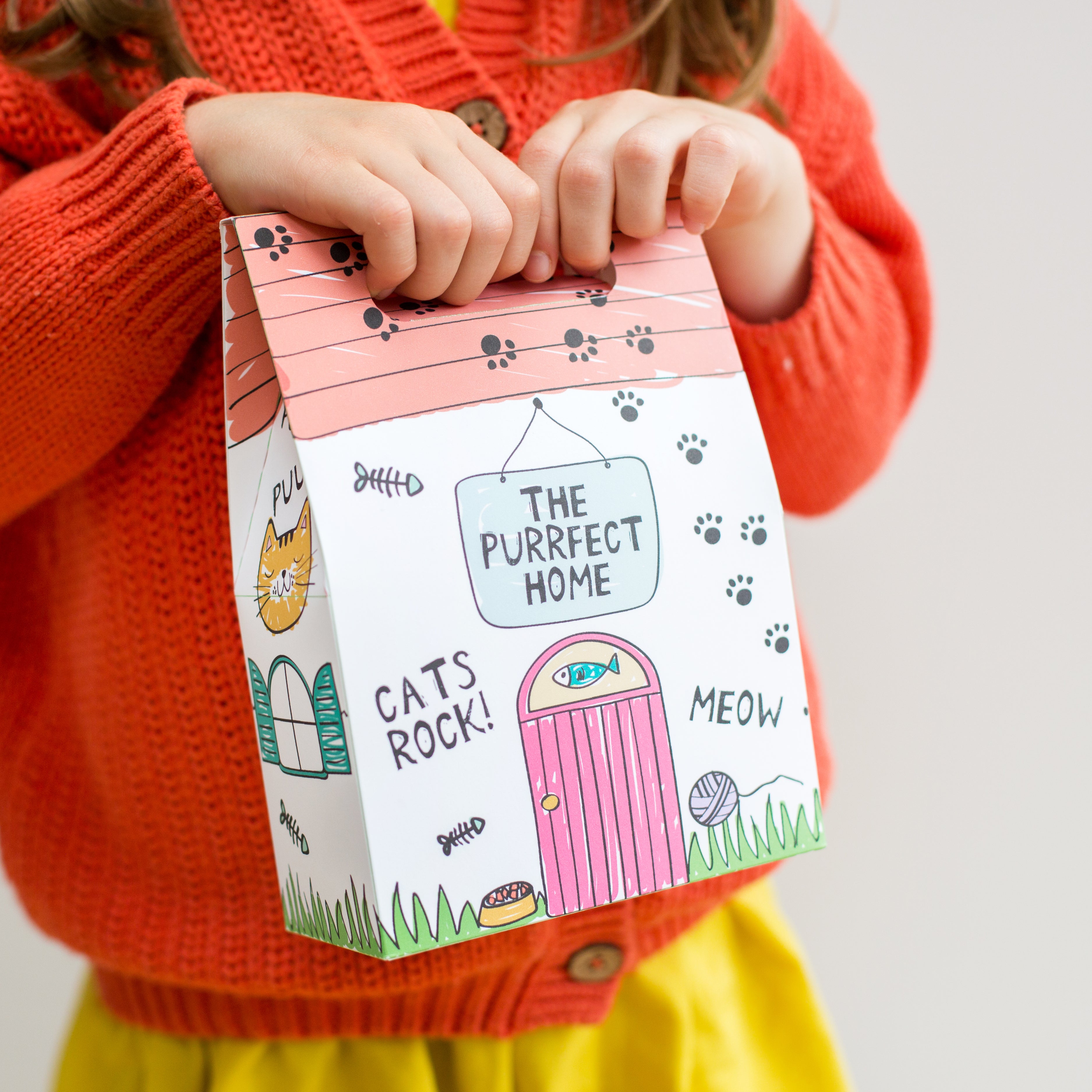 Cool Cats Biscuits Kit | Craft & Crumb – Craft & Crumb