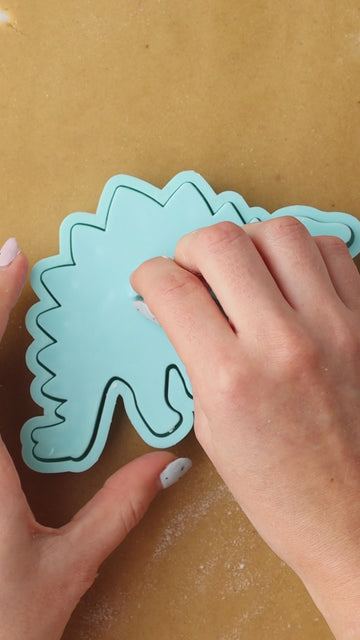 Dinosaur T-rex Fossil Biscuits & Craft Kit | Craft & Crumb – Craft & Crumb