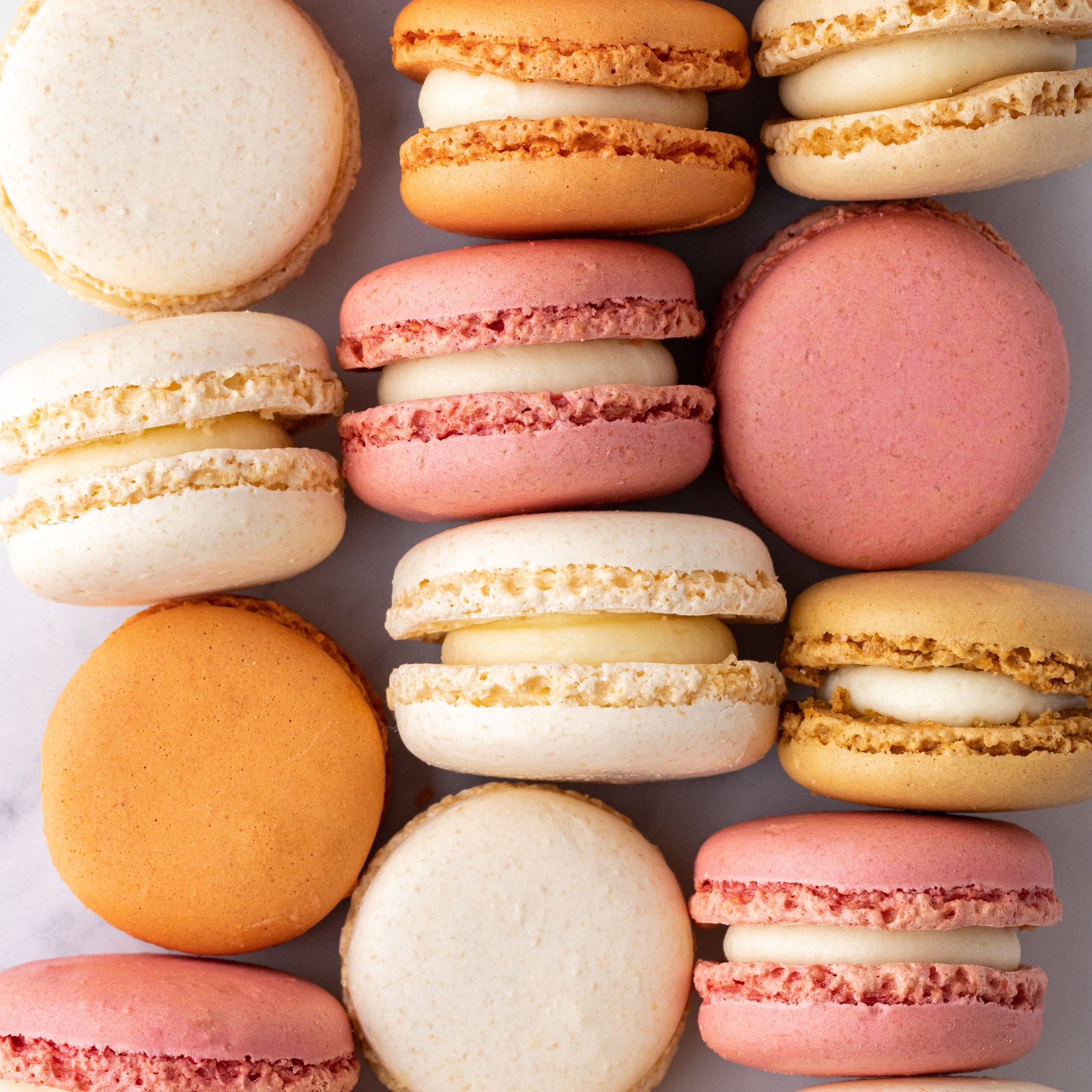 Master of the Macaron Kit | Craft & Crumb – Craft & Crumb