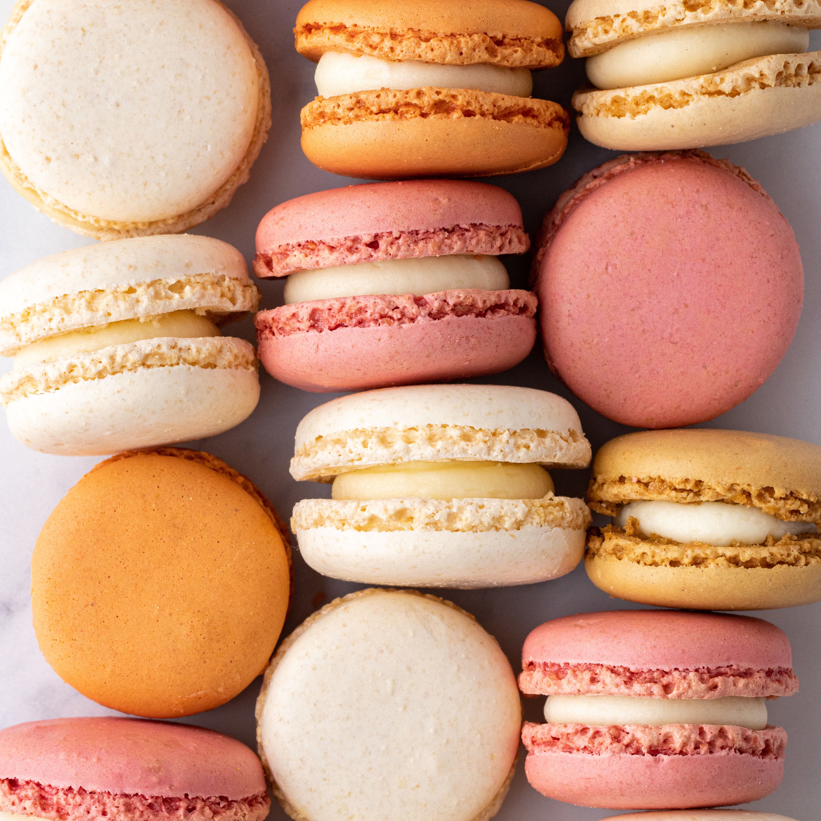 Master of the macaron kit – Craft & Crumb